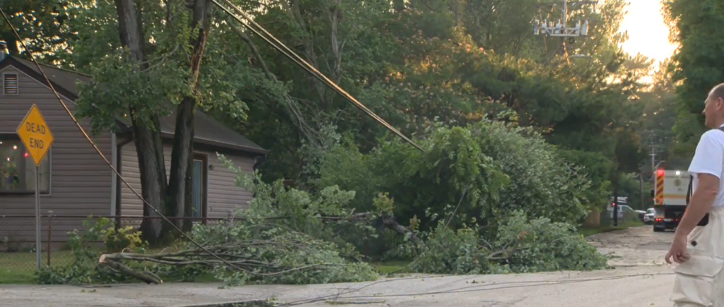 19 injured after storm causes tree to fall on garage | CIP News